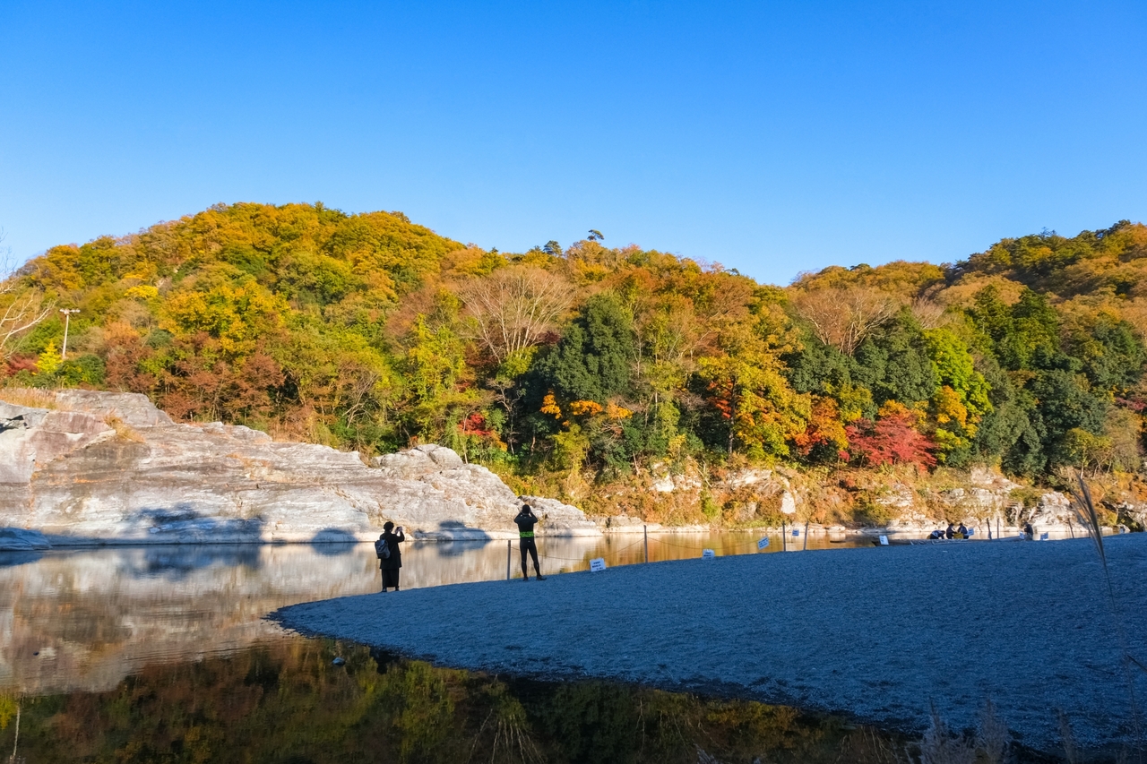 【予約可】埼玉県でDWIBS(ドゥイブス)が受診可能な施設リスト